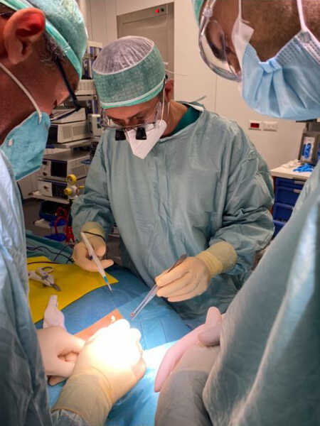 Curriculum - Dottor Andrea Borrelli - Chirurgia Firenze